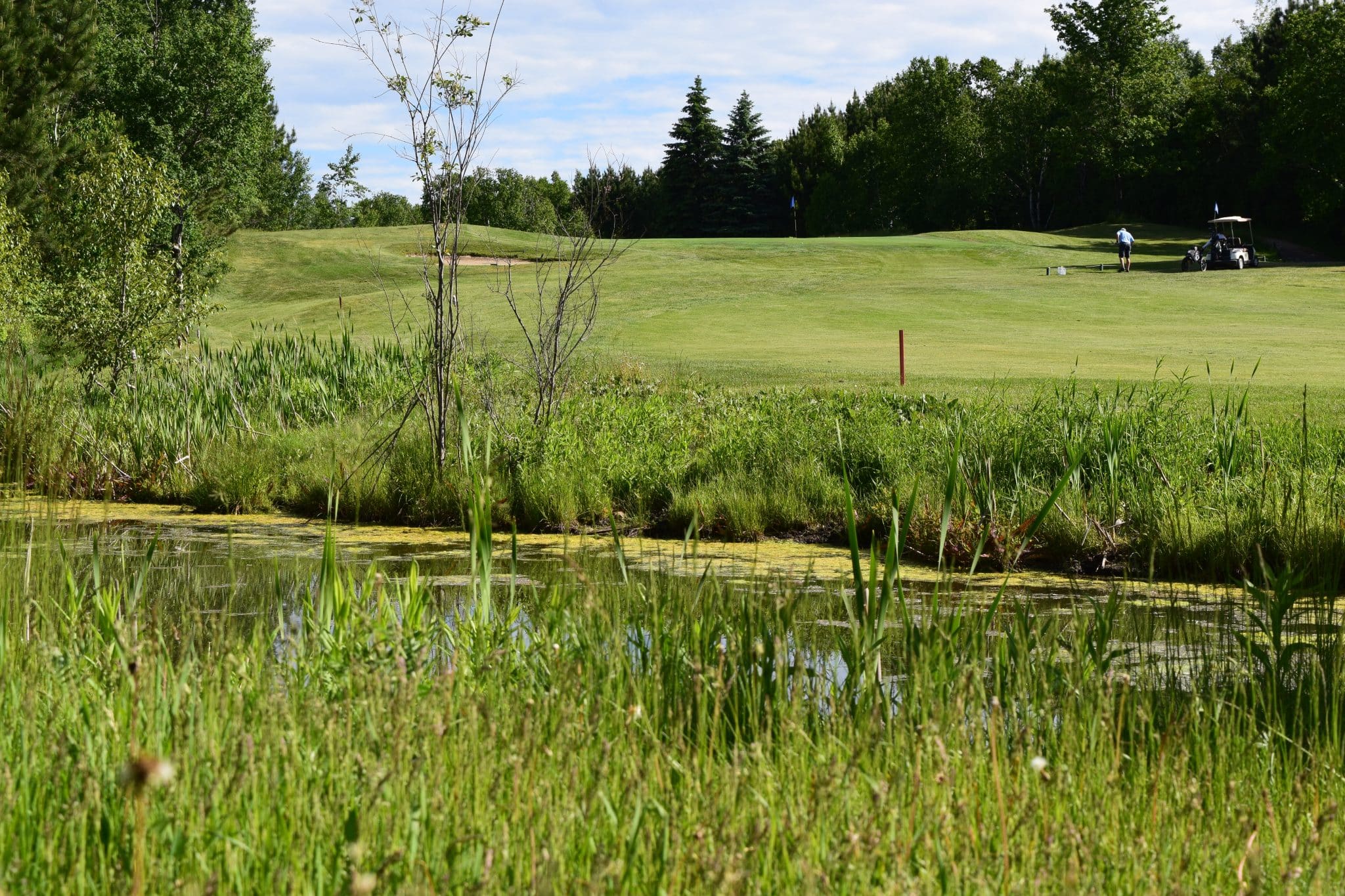 Photo Gallery - The Golf Sudbury Family of Courses