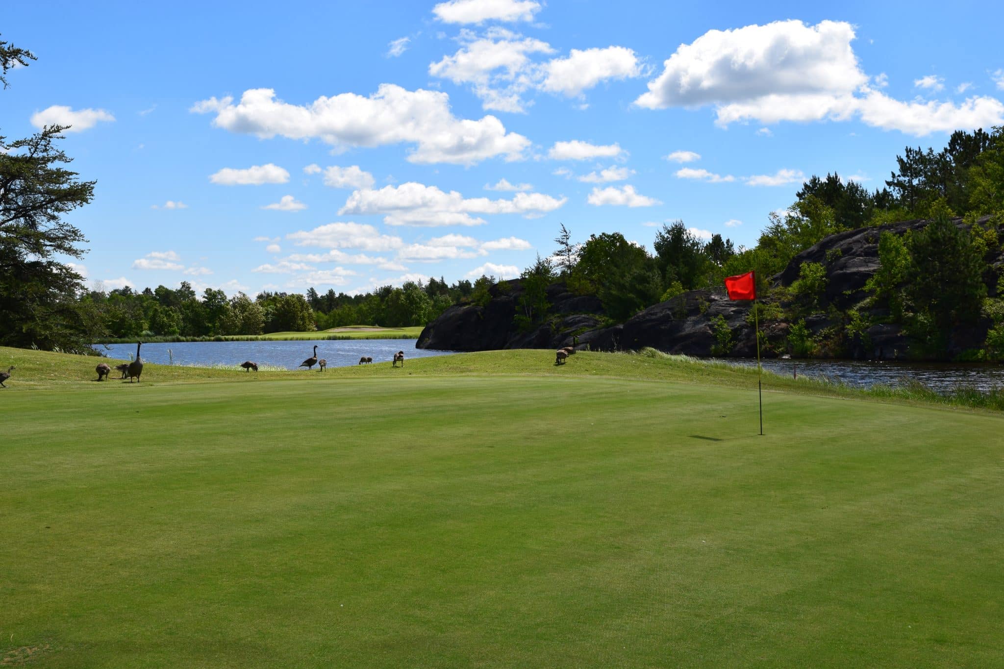 Photo Gallery - The Golf Sudbury Family of Courses