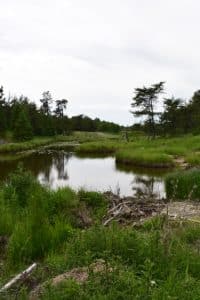 Pine Grove Golf Club - The Golf Sudbury Family of Courses